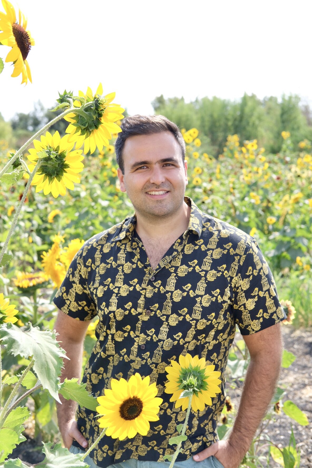 Swank Farms Pumpkin Patch, Sunflower Fields and Corn Mazes: the best ...