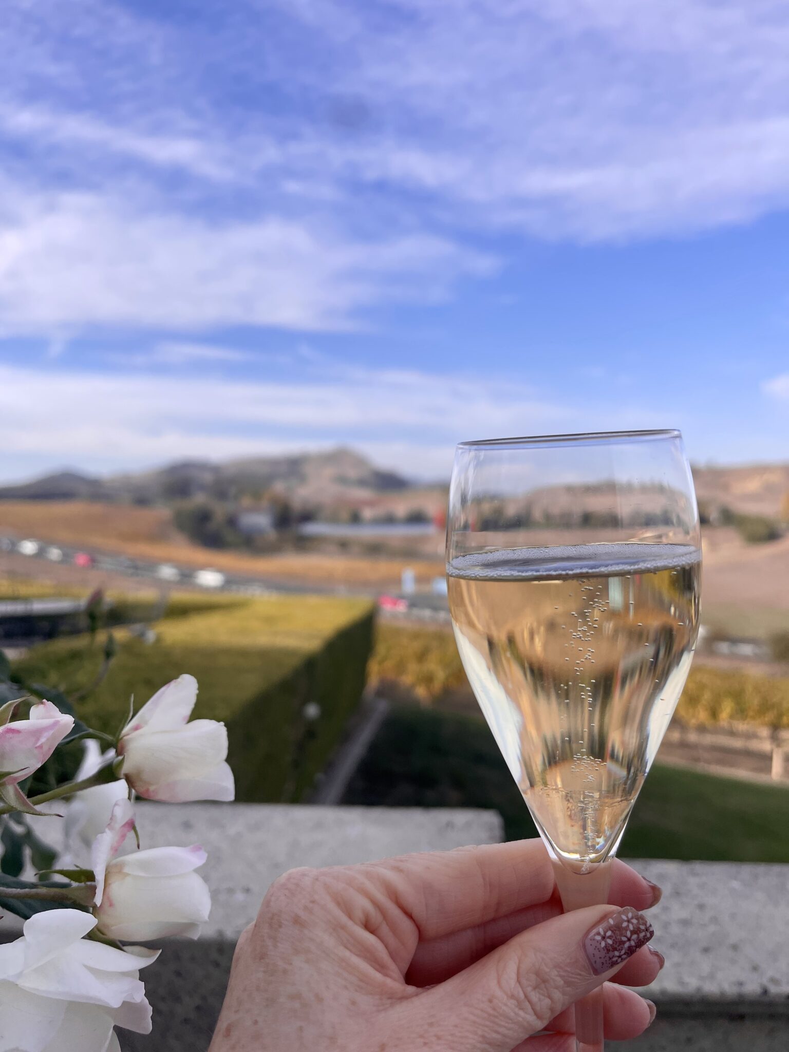 Domaine Carneros Review - one of the most beautiful wineries in Napa ...