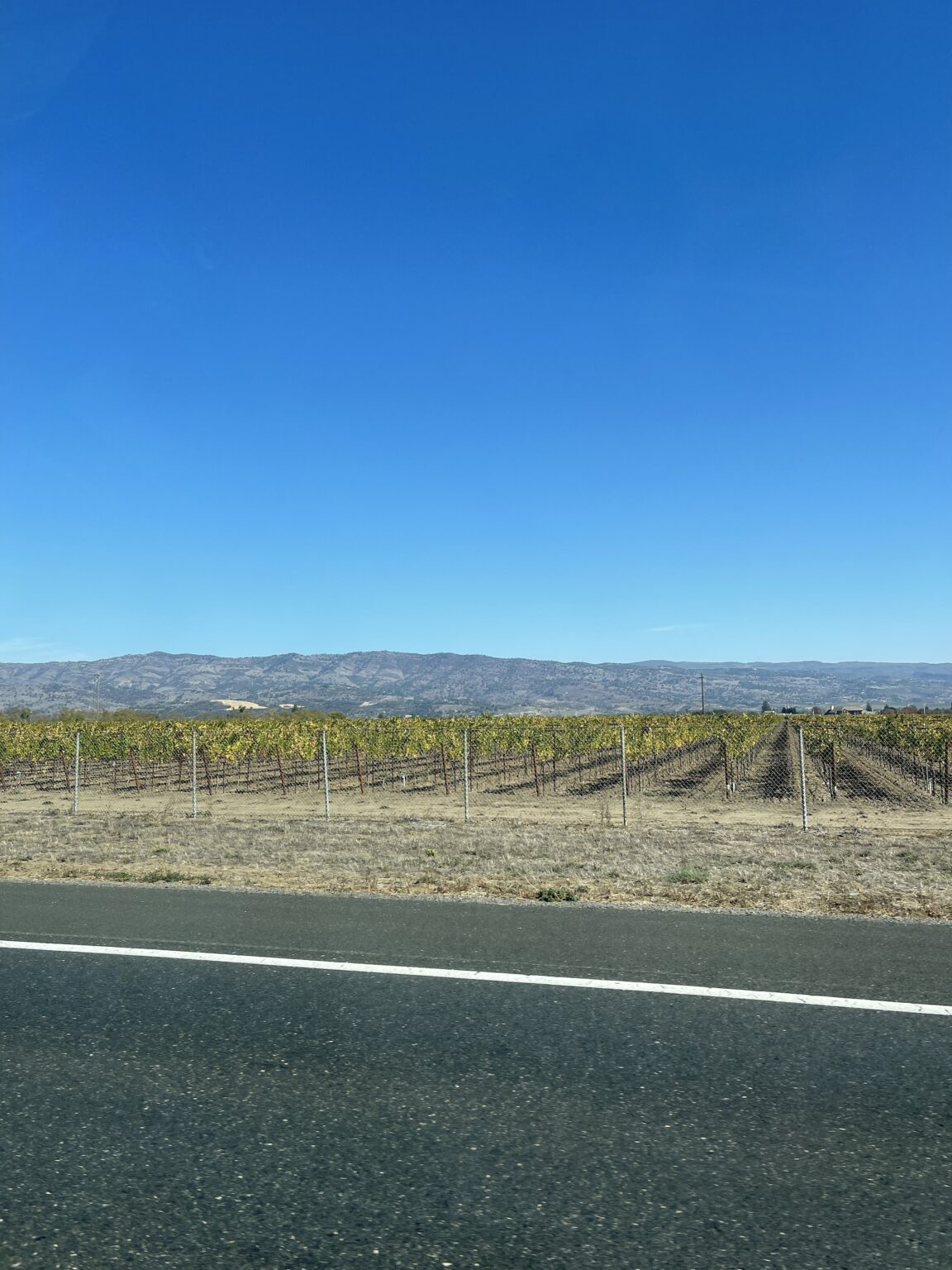 Beaulieu Vineyard Review - all the details you need to know about ...