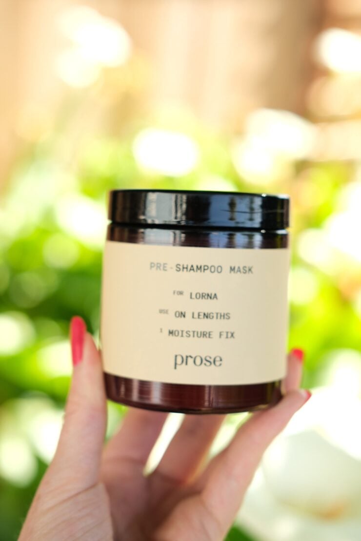 Honest Prose Reviews 2024 - Lorna Ryan