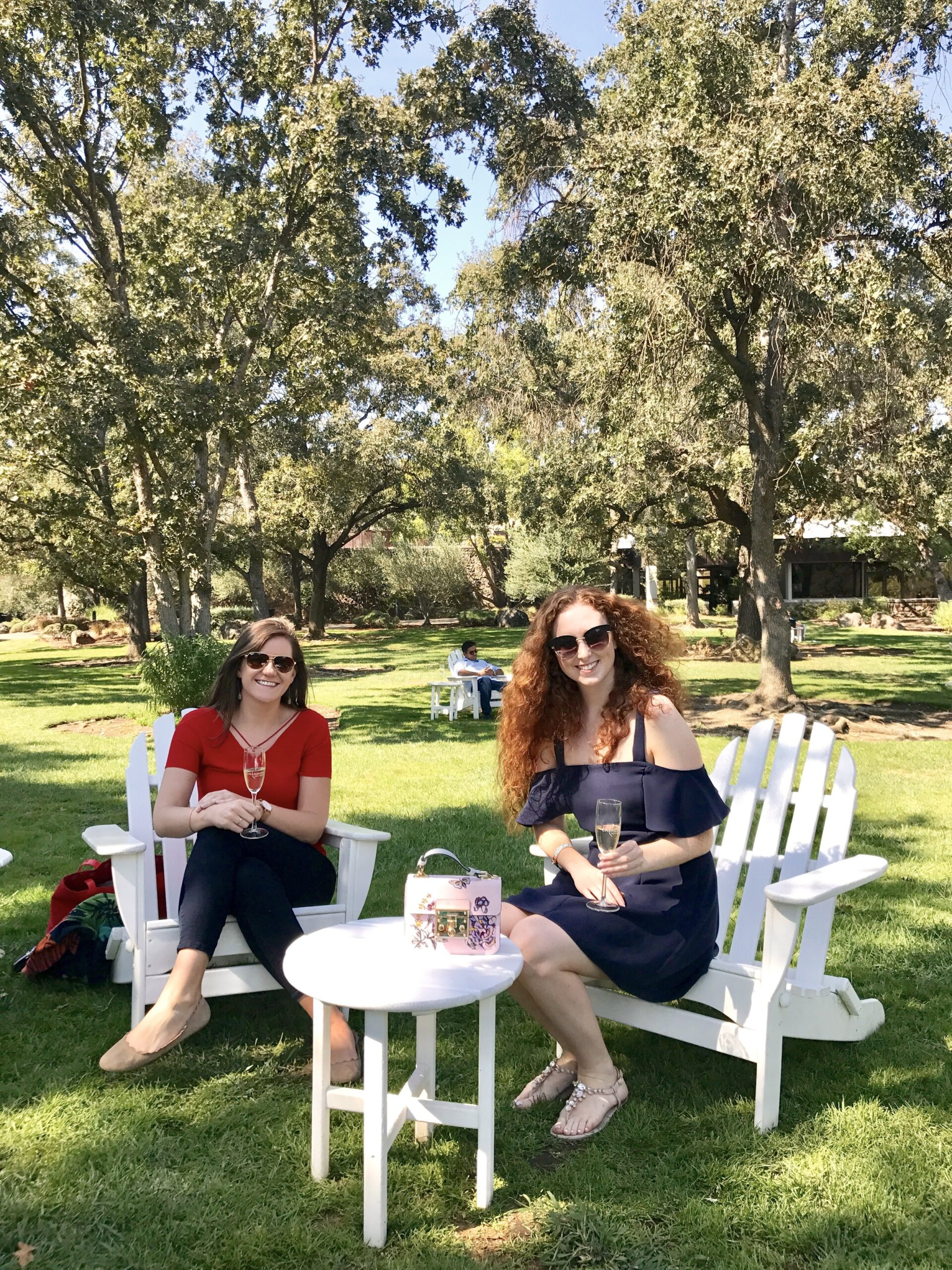 5 Best Los Carneros Wineries to Visit in Napa Valley - Lorna Ryan