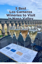 5 Best Los Carneros Wineries to Visit in Napa Valley - Lorna Ryan