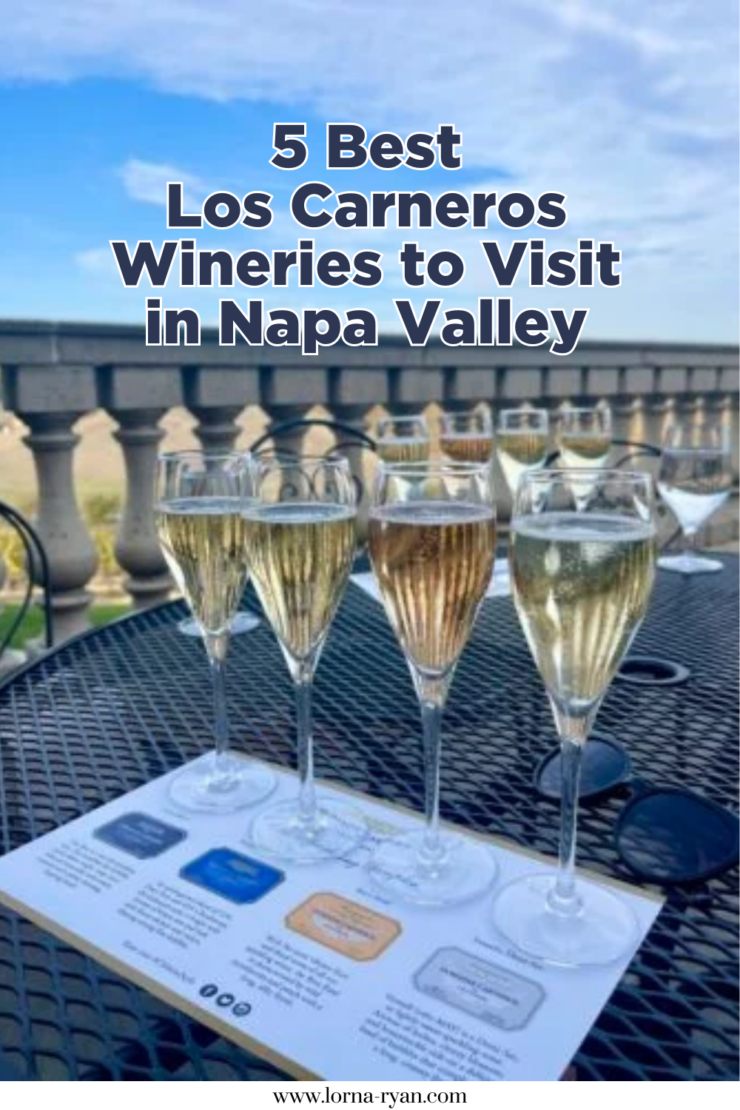 5 Best Los Carneros Wineries to Visit in Napa Valley - Lorna Ryan