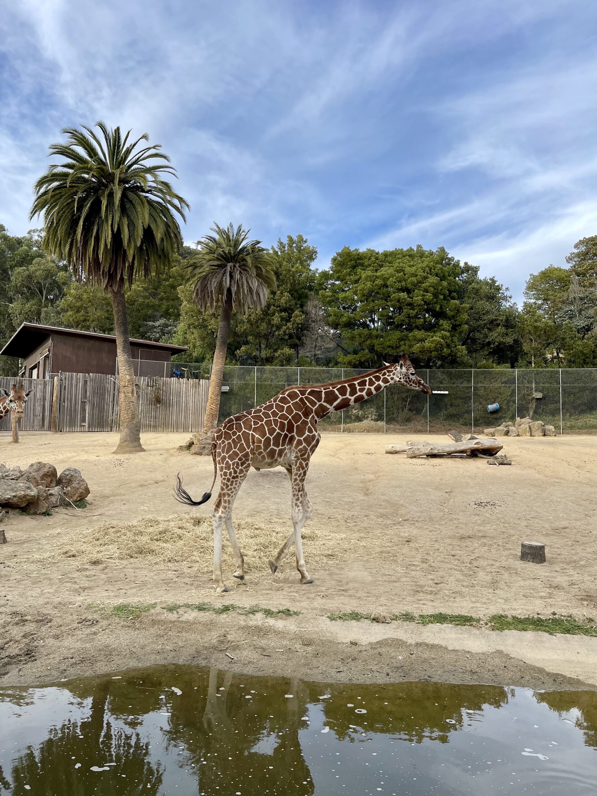 25+ Fun & Romantic Date Ideas in San Diego: Memories that will last ...