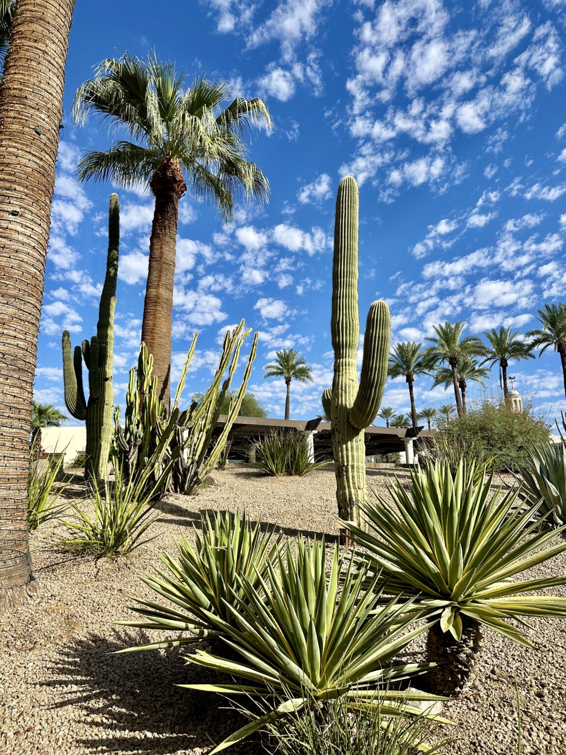 Fairmont Scottsdale Princess Review - A Luxury Phoenix Hotel - Lorna Ryan